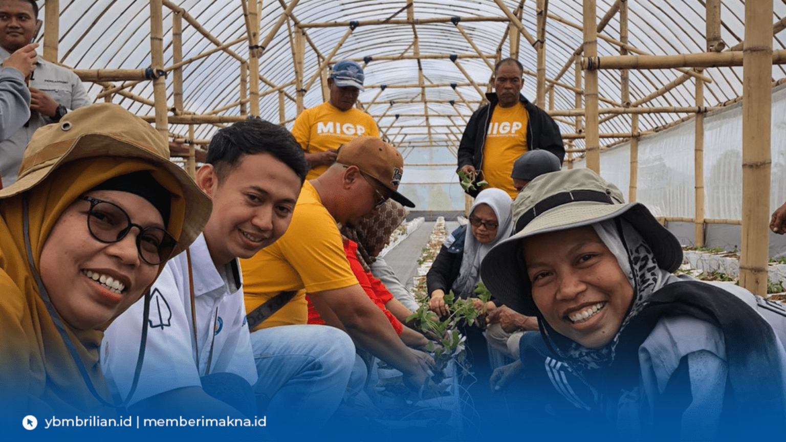 YBM BRILiaN Dorong Kemajuan Petani Strawberry di Samarang,Garut - YBM ...